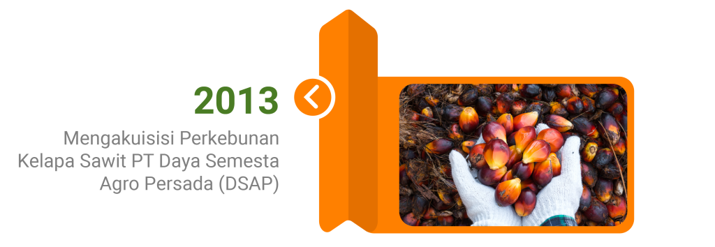 Tentang Kami – DSAP Website