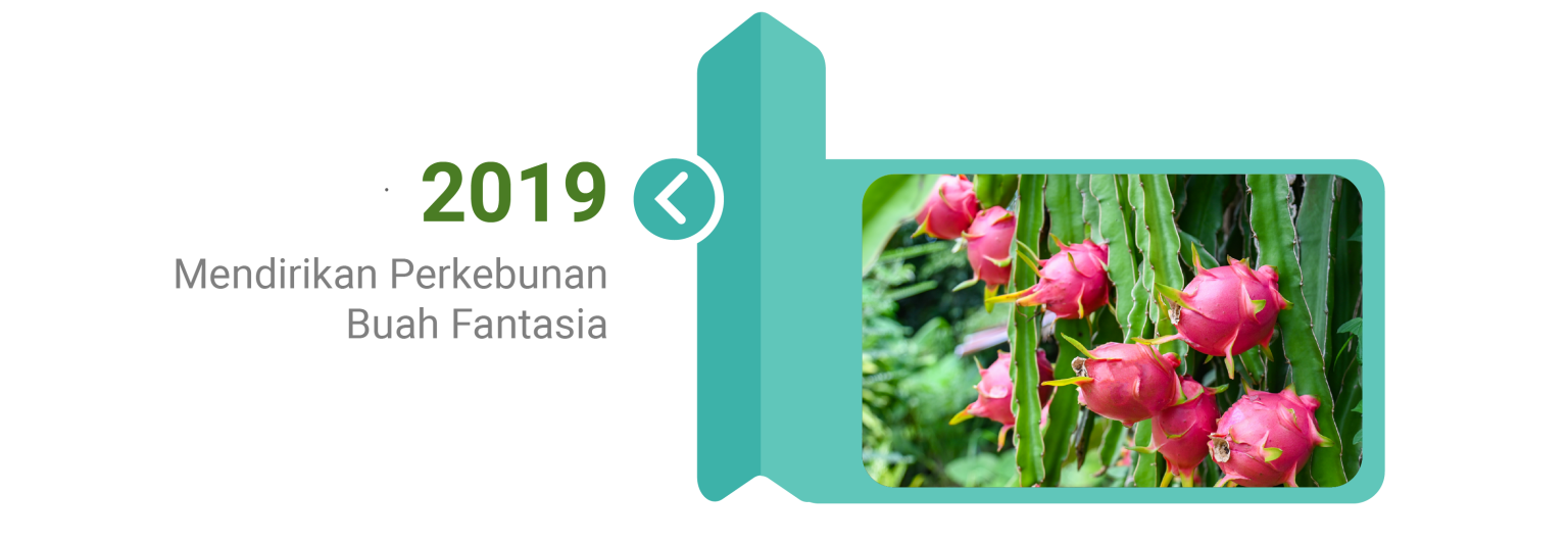 Tentang Kami – DSAP Website